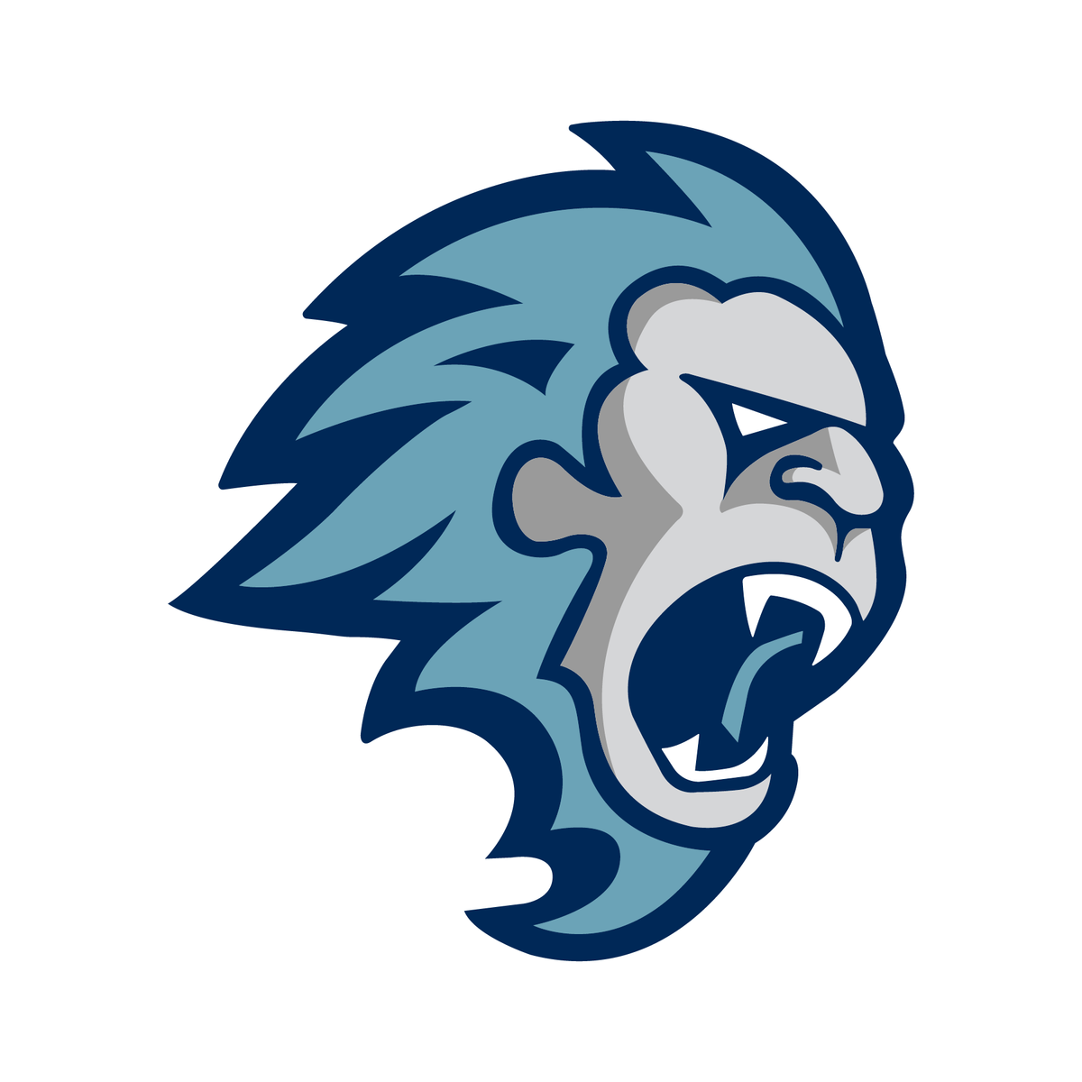Beast Premier – Crossbar Athletics